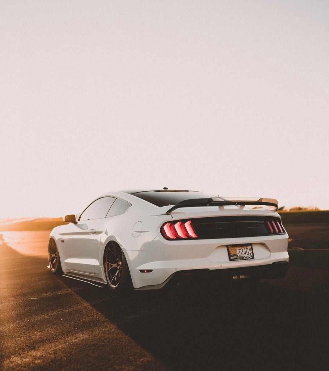 suspension management kit – Sunset Stance